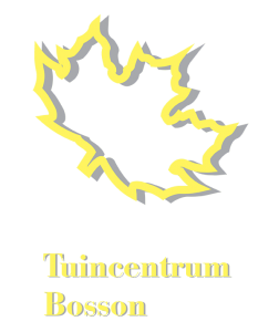 Klimrozen - Tuincentrum Bosson